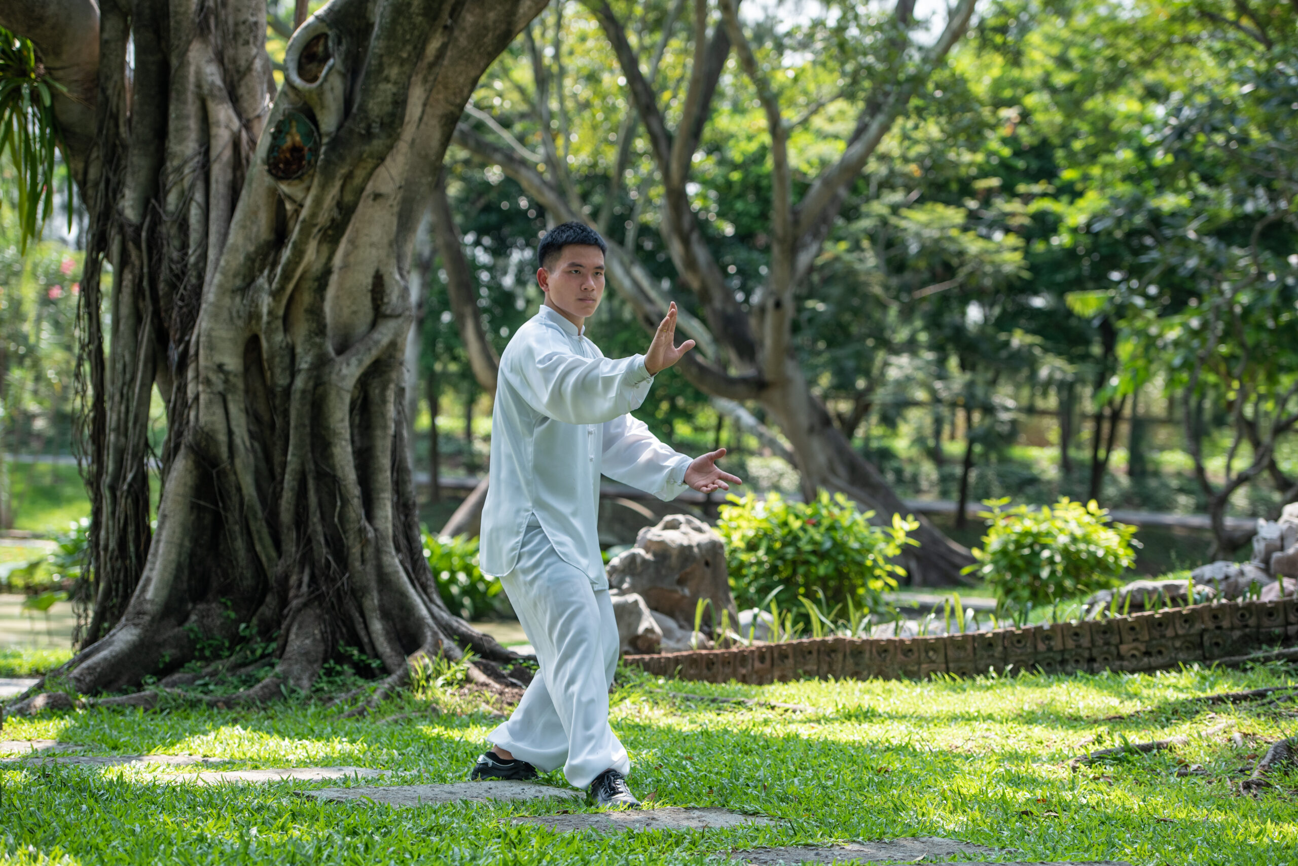 Chi Gong in Goslar - Pure Lebenskraft